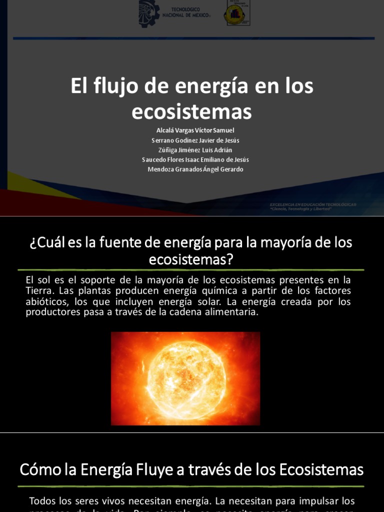 Flujo de Energía en Ecosistemas | PDF | Biologia de sistemas ...
