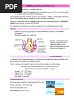 Zonas de West en la fisiología pulmonar | PDF | Hemodinámica | Pulmón