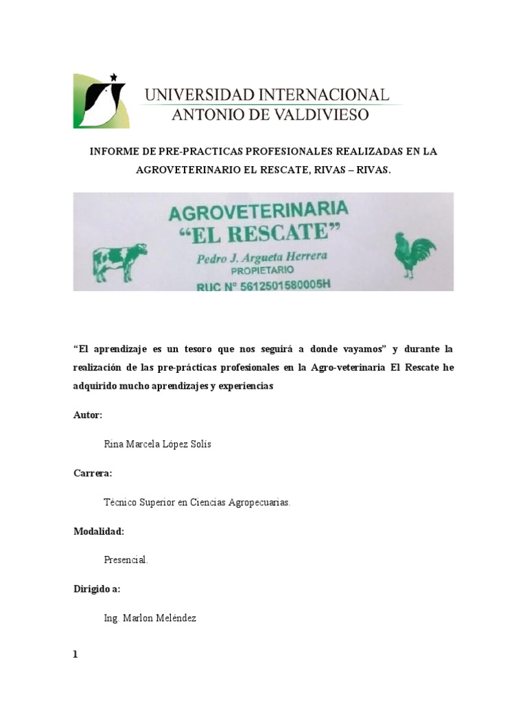 Informe Final De Prácticas Pdf Vitamina Contabilidad