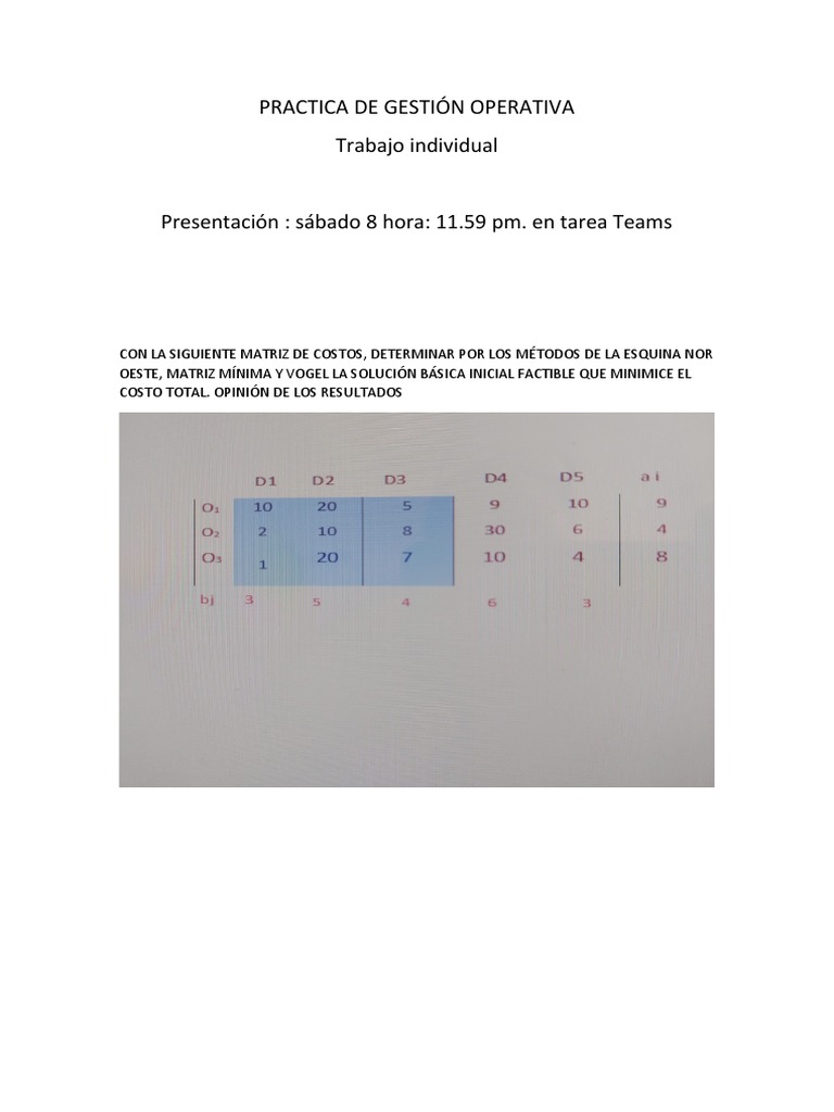 Practica de Gestión Operativa-Velez de Villa | PDF