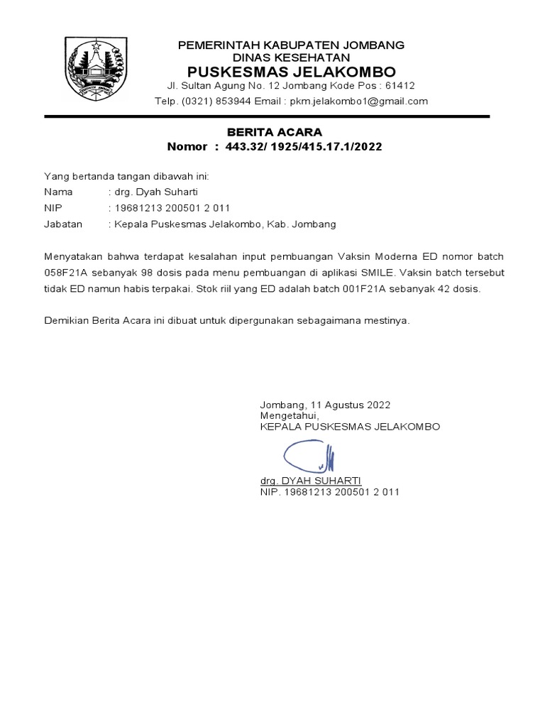 Berita Acara Penyesuaian Smile | PDF