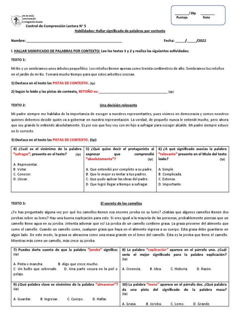 Sig. Por Contexto-Conclusiones e Inferencias | PDF | Camello