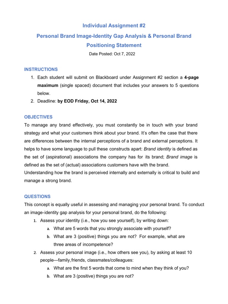 Individual Assignment 2 - Guidelines | PDF | Brand | Target Audience