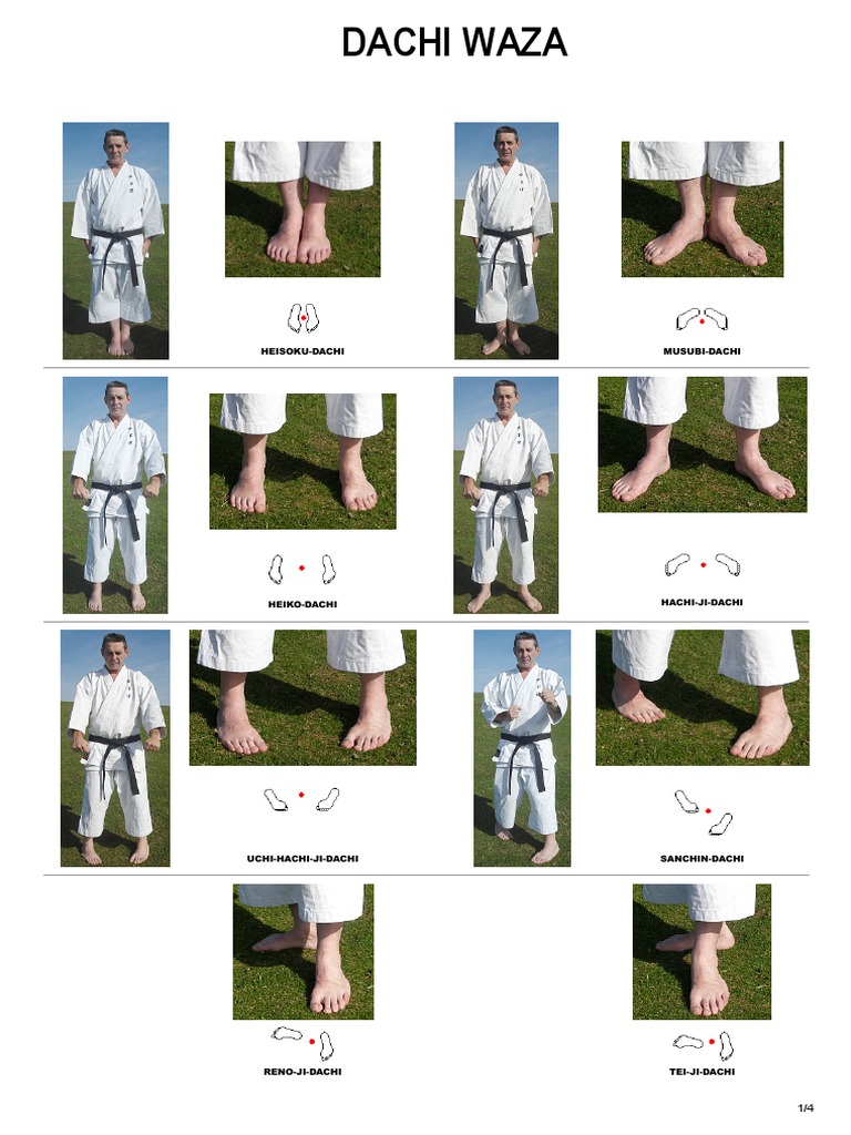 Dachi Waza Posturas | PDF