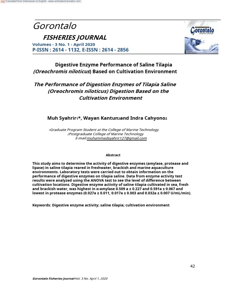 942 3432 1 Pb Id En Pdf Pancreas Enzyme