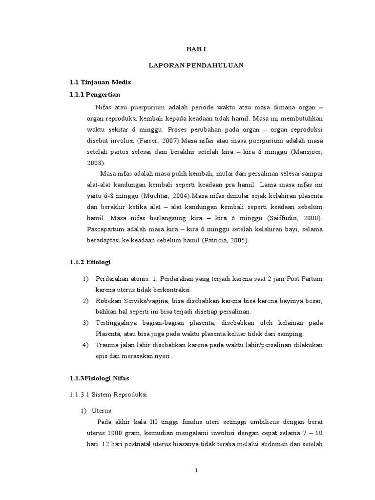 LP Postpartum | PDF | Kesehatan Holistik