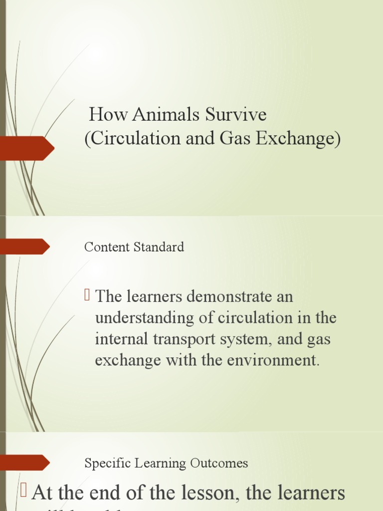 Animal Circulation and Gas Exchange Explained | PDF | Artery | Heart
