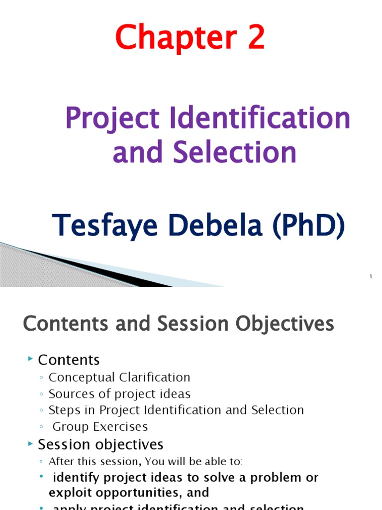 Chapter Two Project Identification | PDF | Swot Analysis | Prices