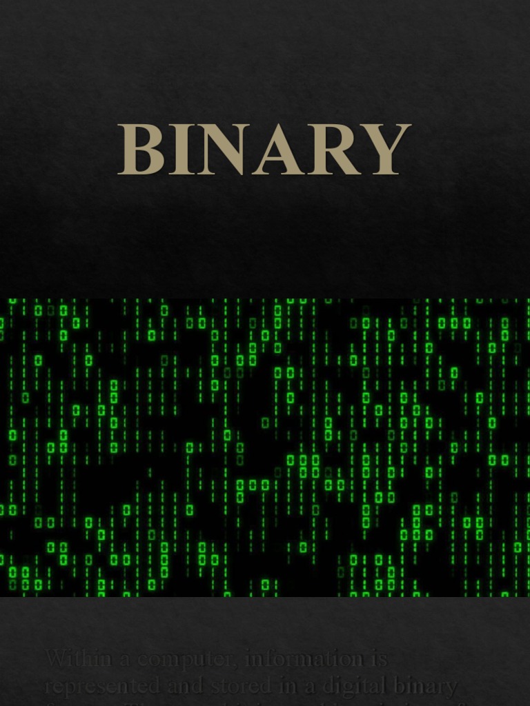 Binary Conversion | PDF | Byte | Bit