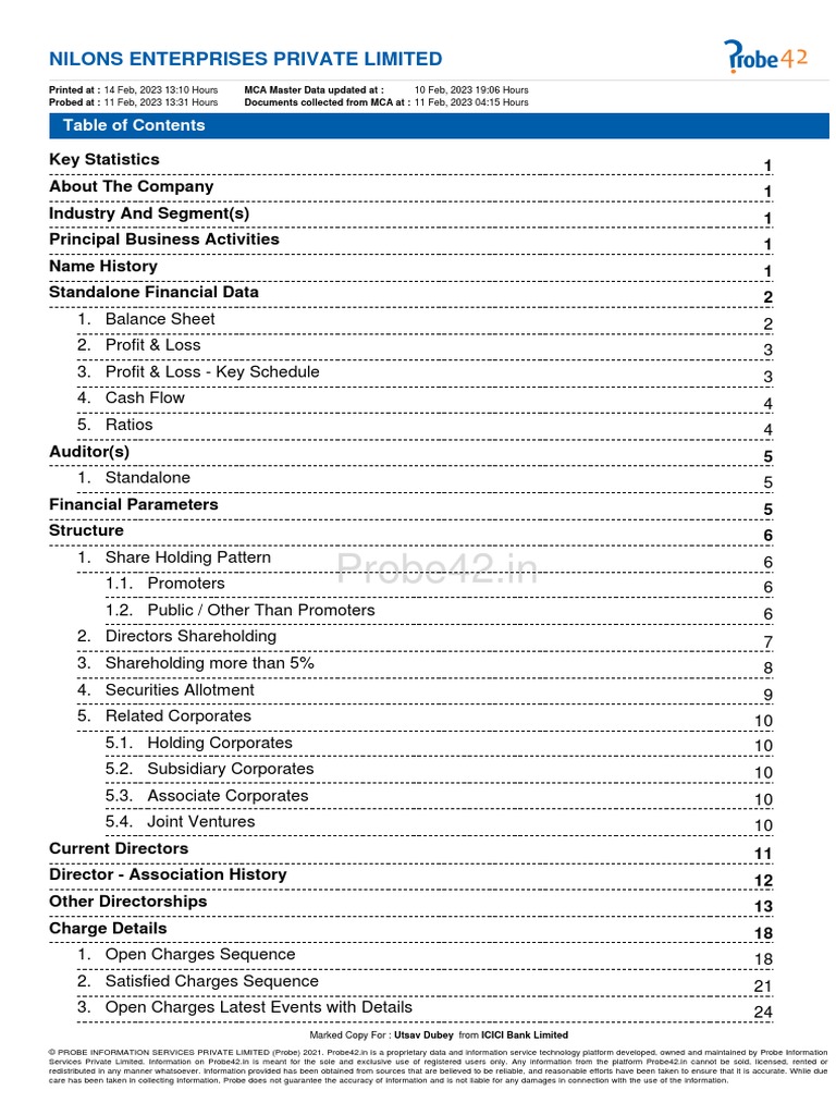 Nilons PVT LTD | PDF | Equity (Finance) | Investing