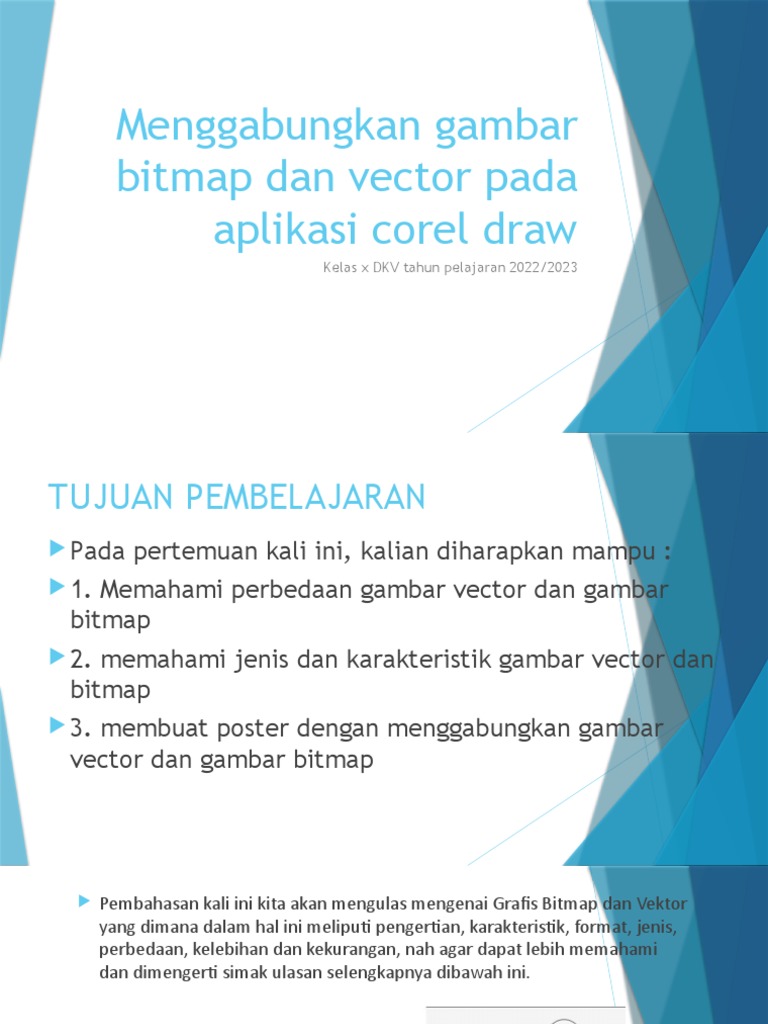 Bitmmap Dan Vector | PDF