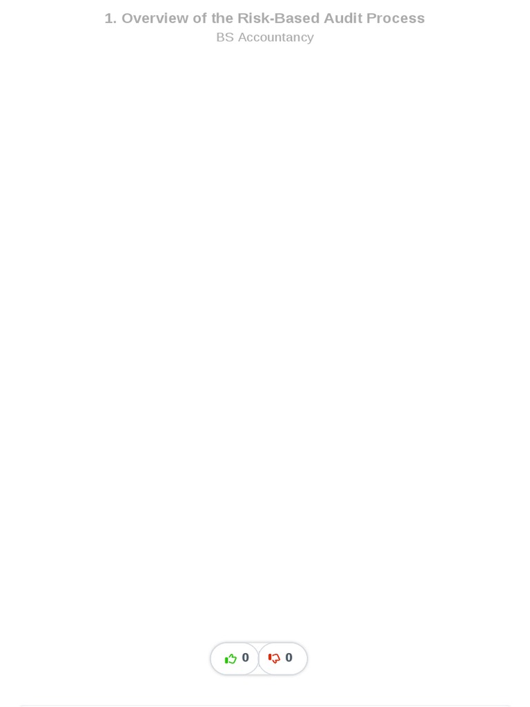 1 Overview of The Risk Based Audit Process | PDF | Audit | Financial Audit