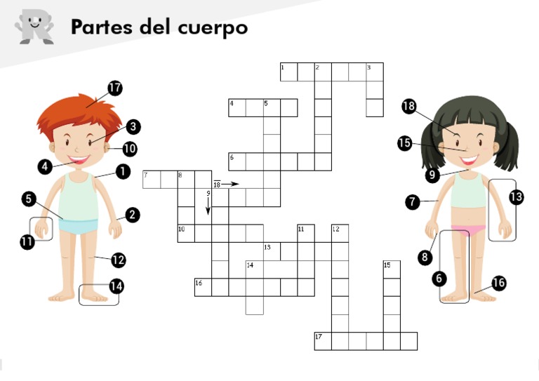 Crucigrama del Cuerpo Humano para Niños | PDF