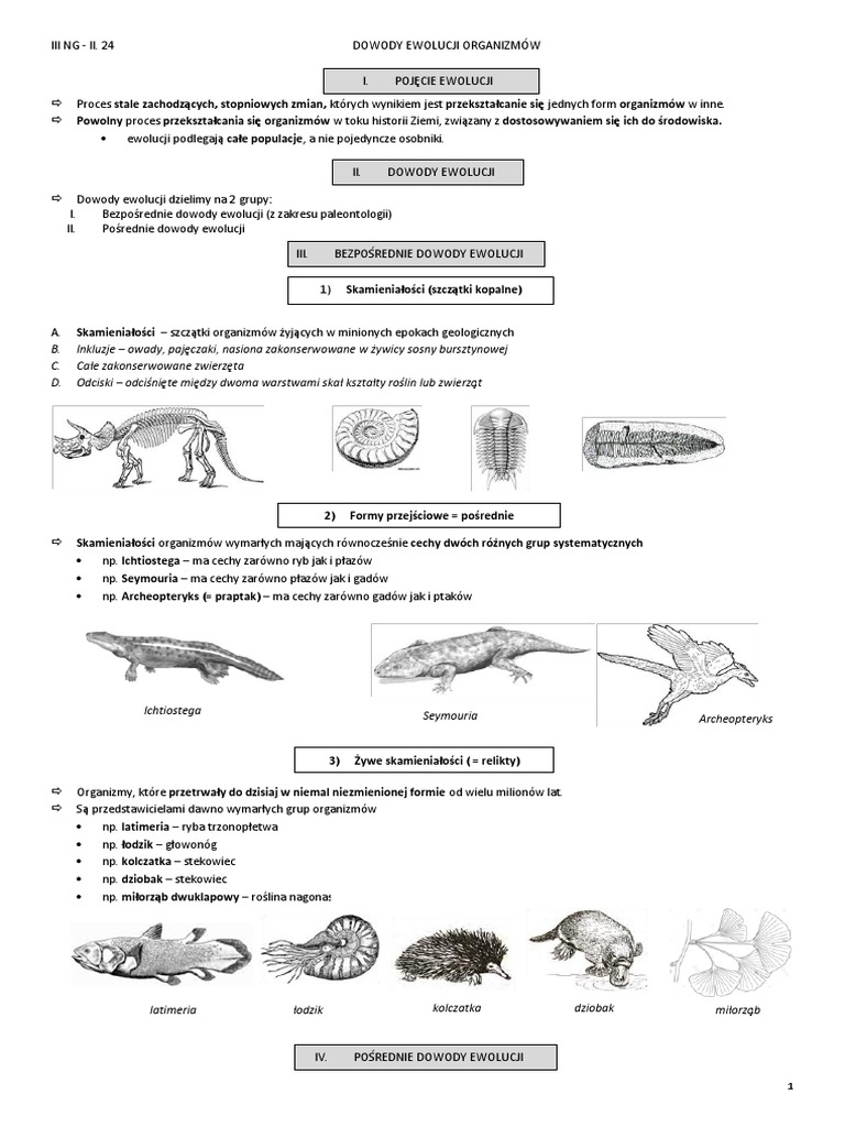 III NG - II. 24 - Dowody Ewolucji Organizmów - Notatki MC | PDF