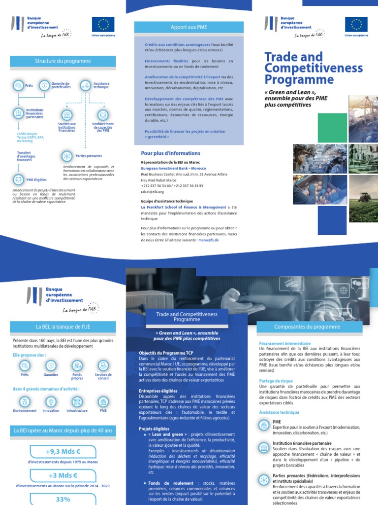 Flyer - Trade and Competitiveness Programme Grean and Lean | PDF ...