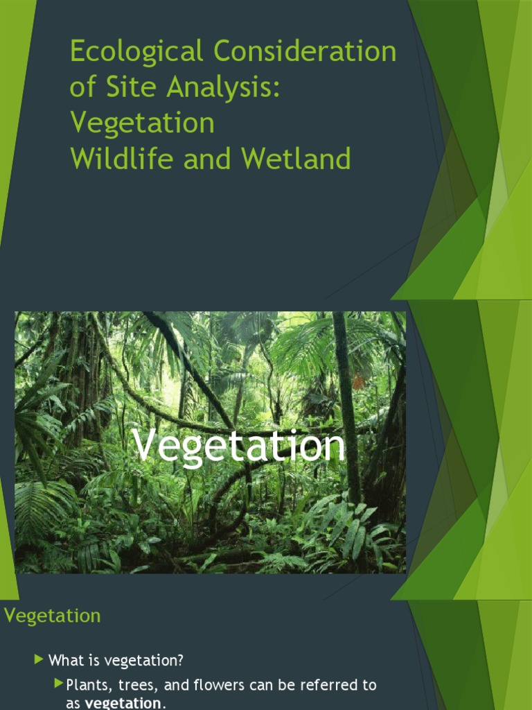 Ecological Consideration of Site Analysis | PDF | Wetland | Stormwater