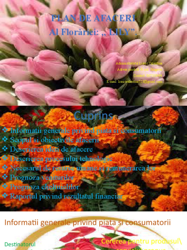 Prezentare LILY | PDF