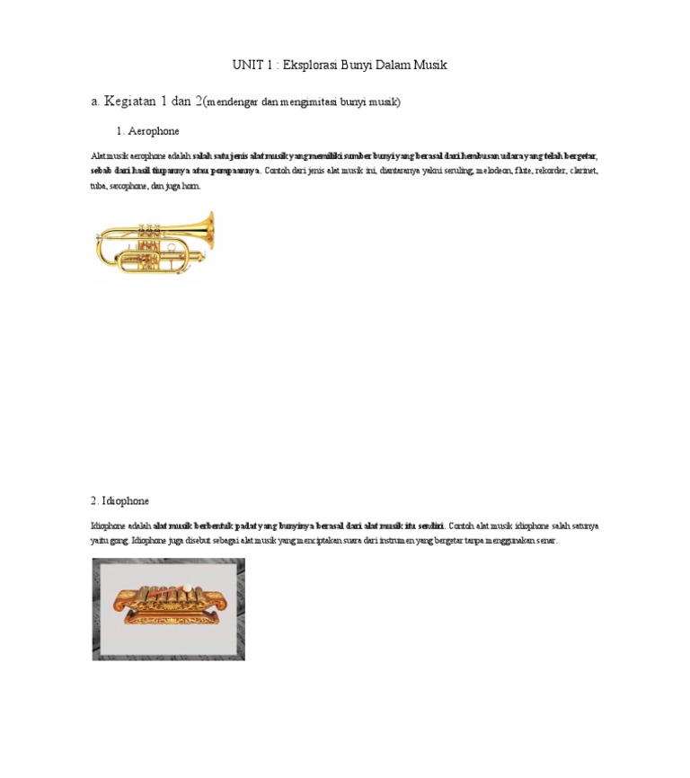 Jenis Alat Musik: Aerophone dan Idiophone | PDF