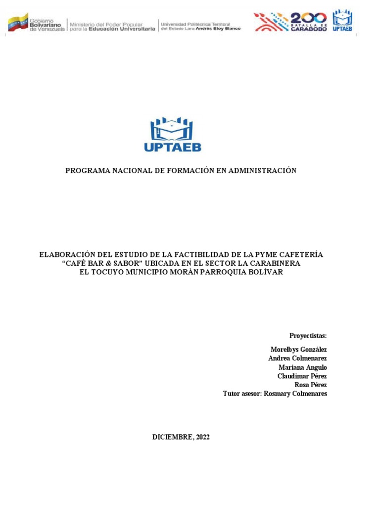 Proyecto Parte II | Descargar gratis PDF | Pequeñas y medianas empresas | Iniciativa empresarial