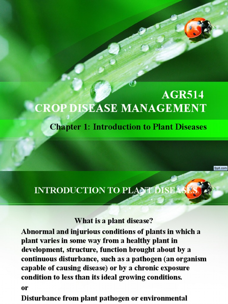 AGR514 Chapter 1 | PDF | Plant Pathology | Pathogen