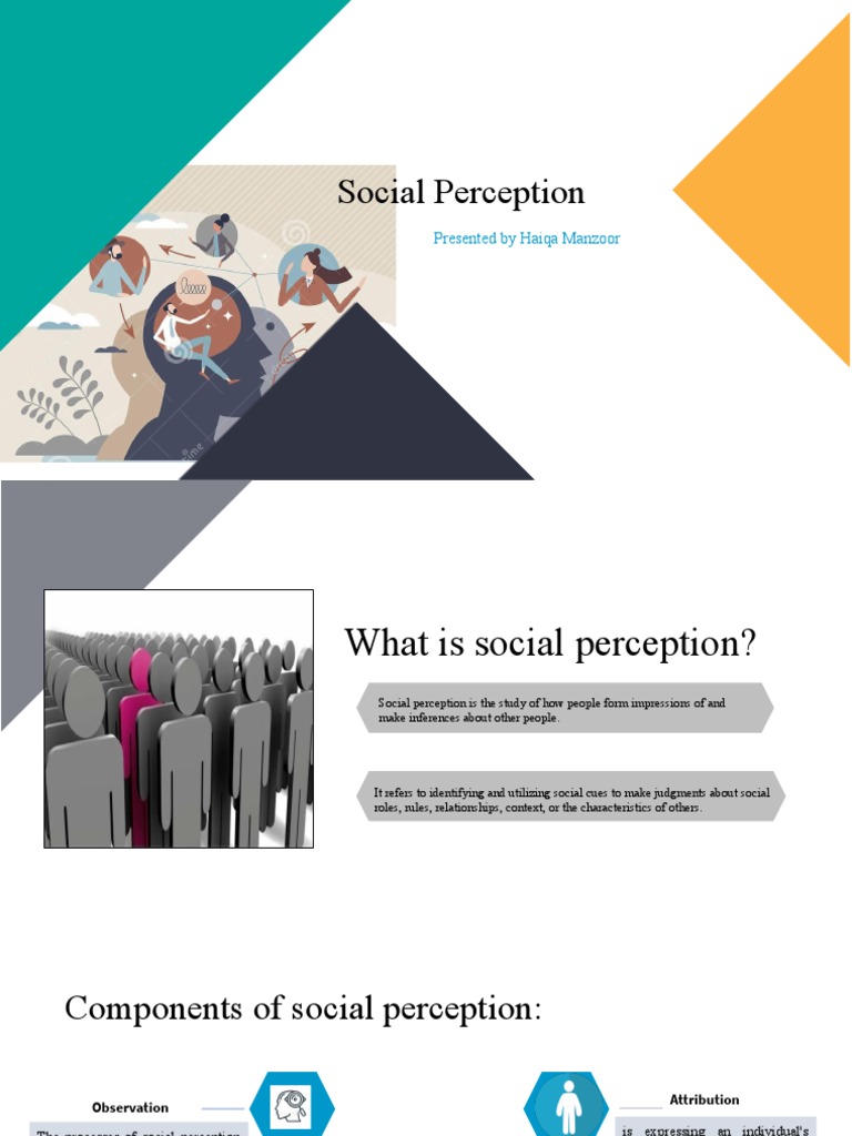 Social Perception | PDF