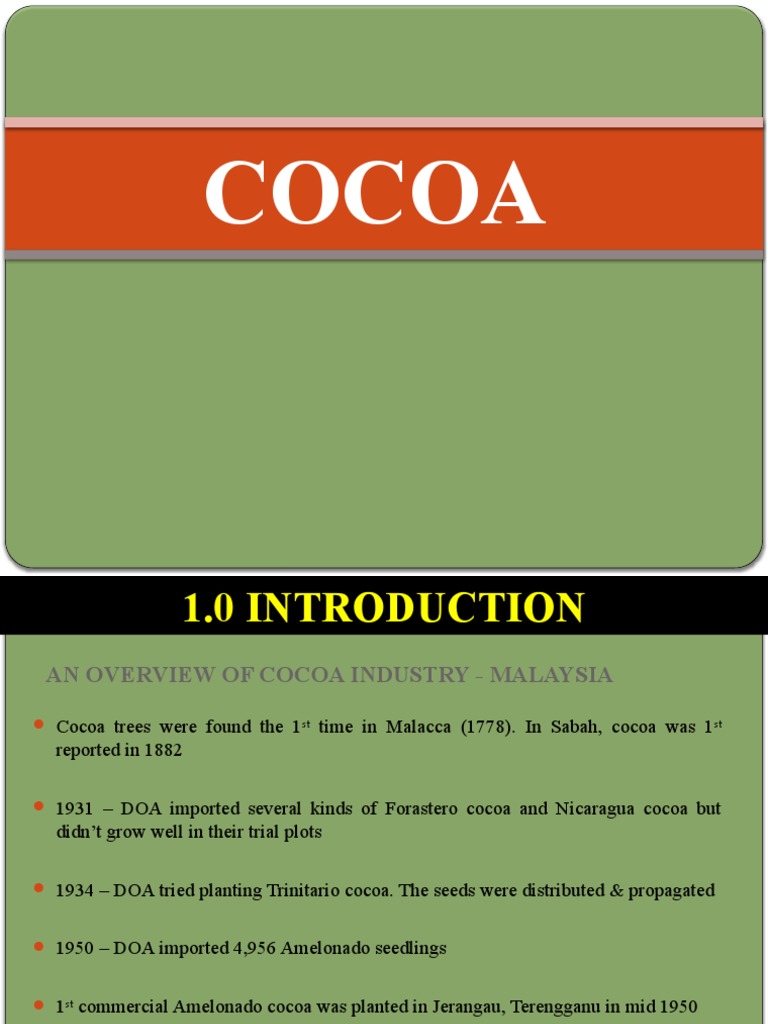 Cocoa 1 | Download Free PDF | Grafting | Cocoa Bean