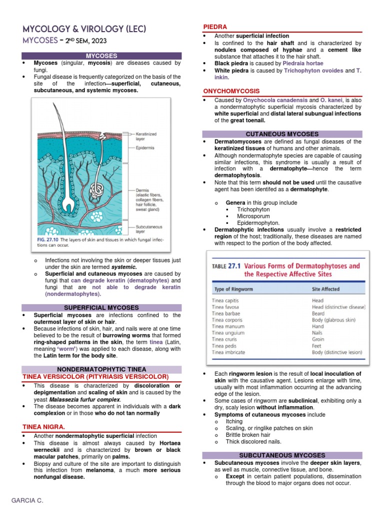 Mycv Lec Mycoses | Download Free PDF | Immunology | Mycology