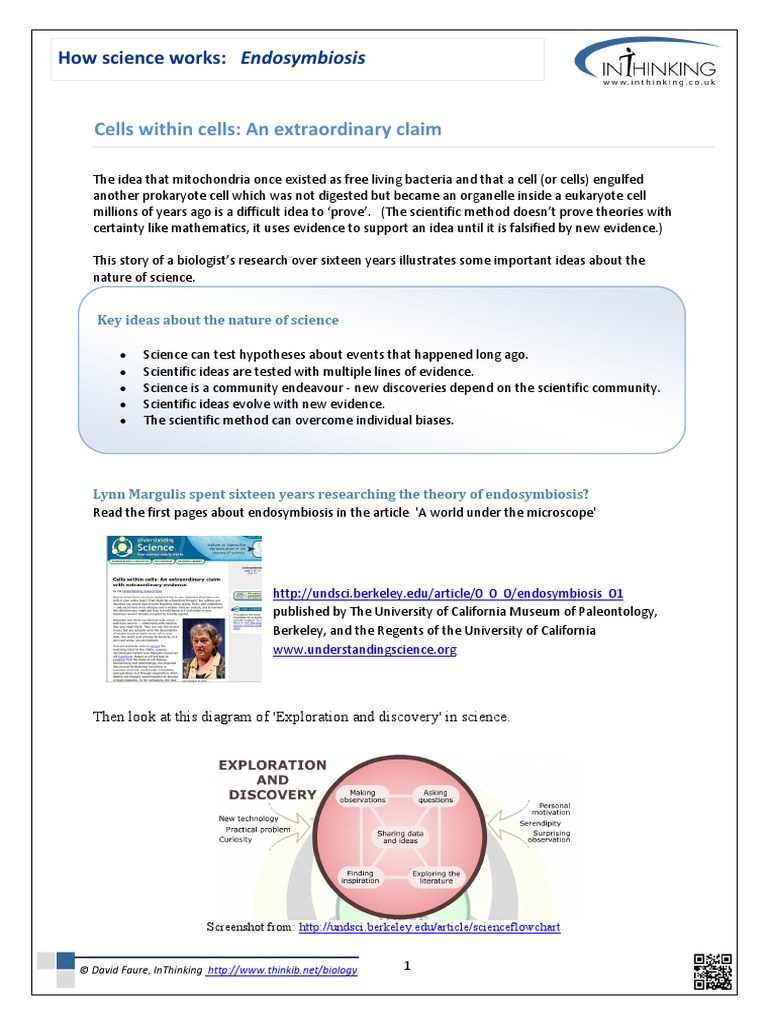 Endosymbiosis HSW Worksheet | Download Free PDF | Cell (Biology ...