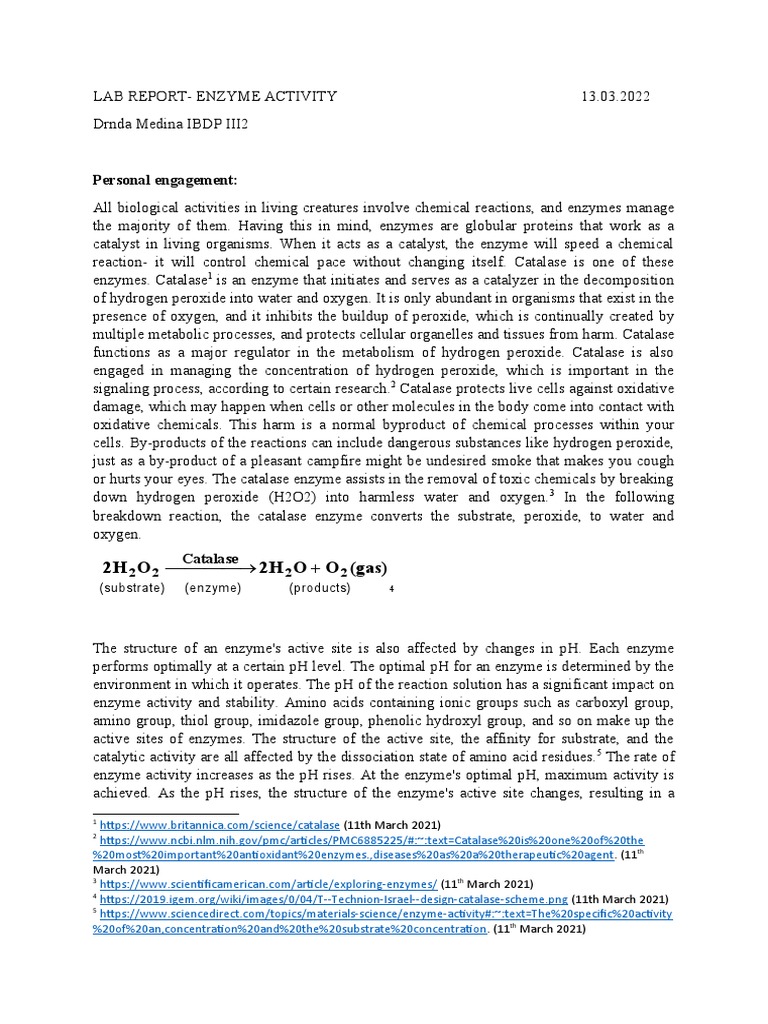 Lab Report - Enzyme | PDF | Catalase | Enzyme
