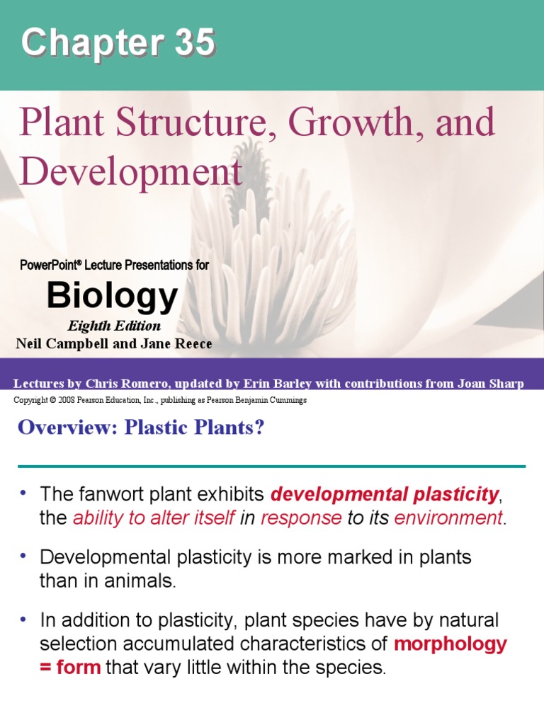 35 Plant Structure Growth and Development | Download Free PDF | Leaf | Root