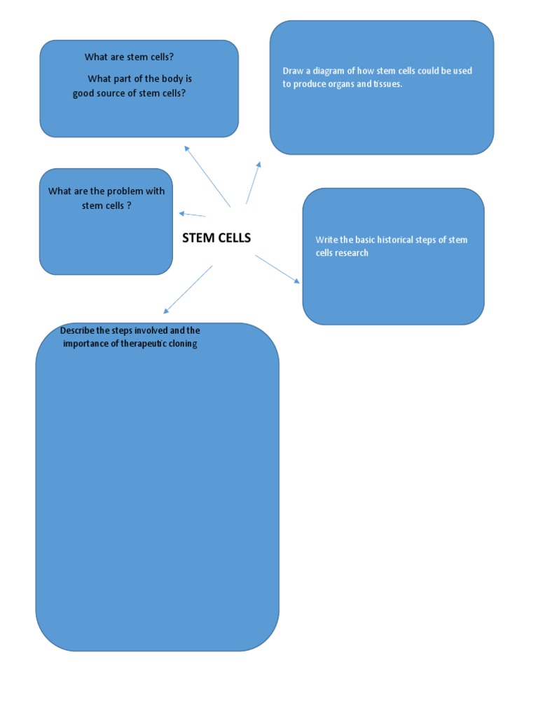 Mindmap Stem Cells | PDF