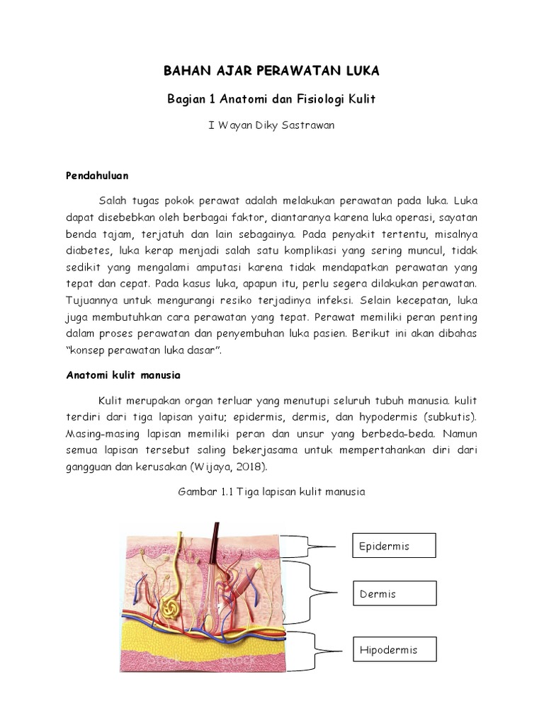 Perawatan Luka untuk Perawat | PDF | Sains & Matematika