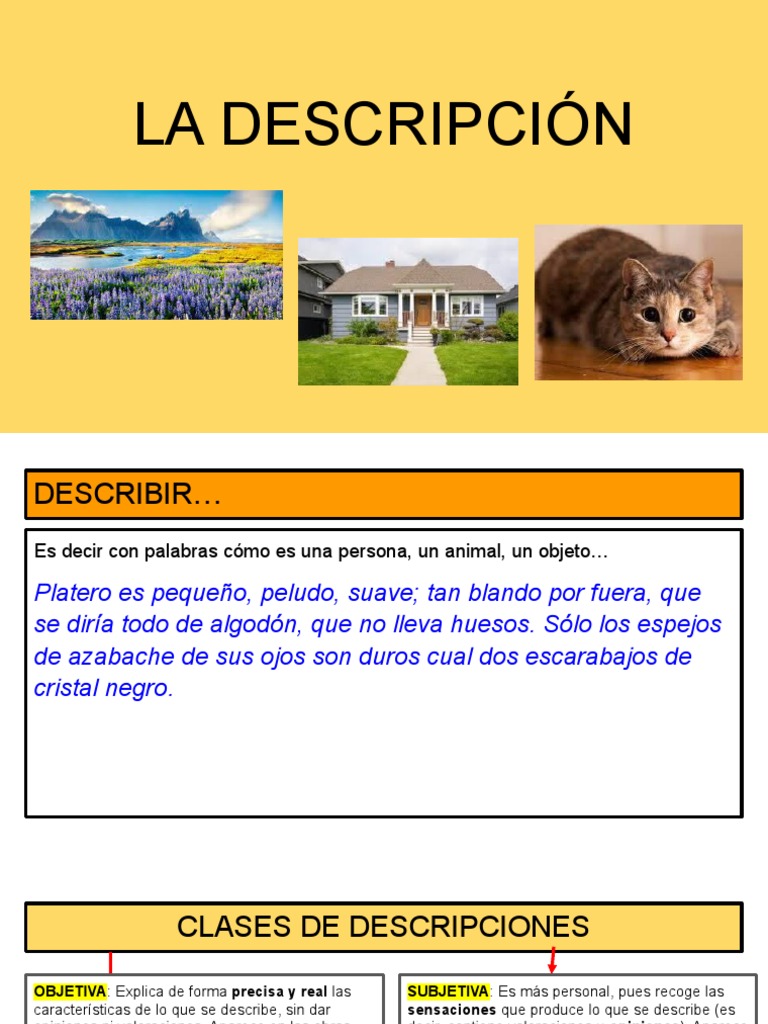 La Descripción | PDF | Nube