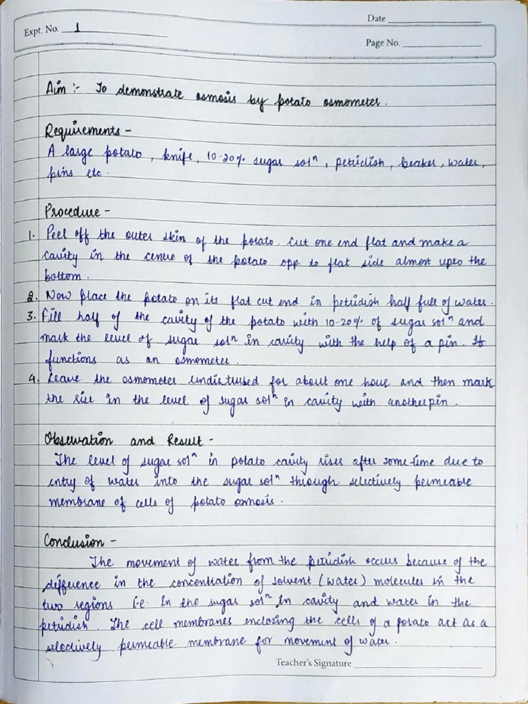 Bio Practical 08 52 20 Pdf 