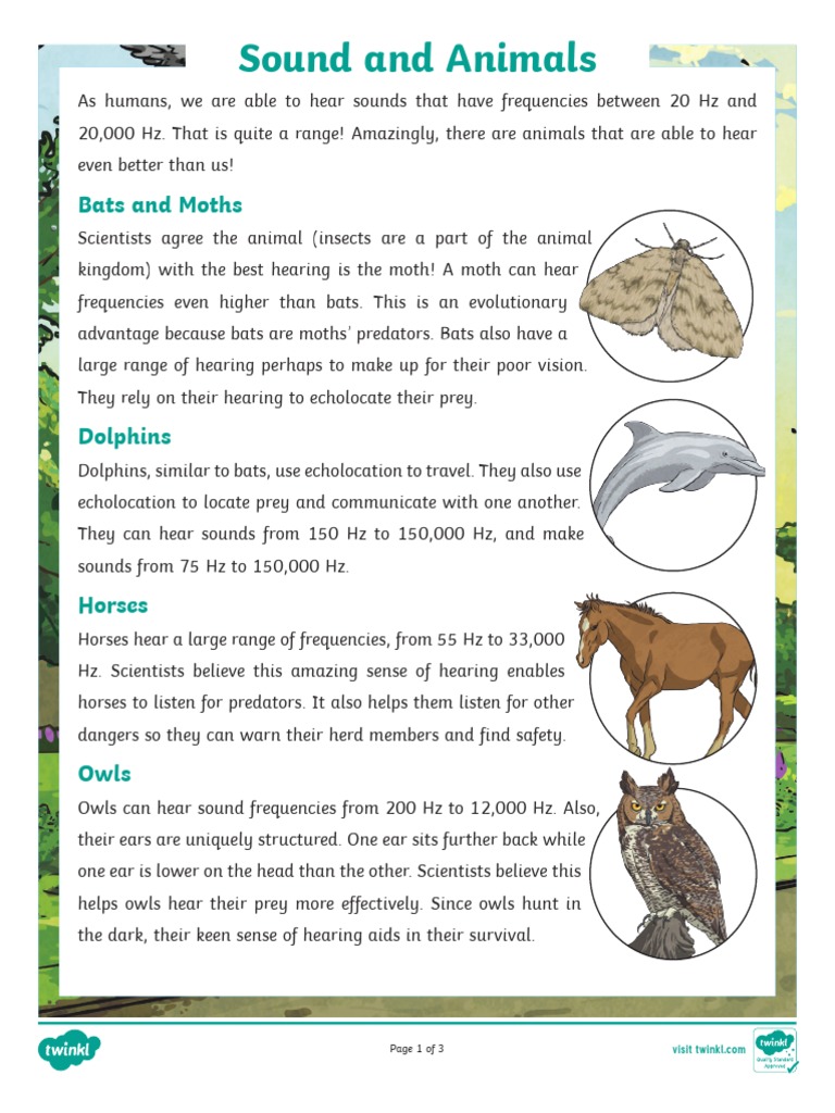 Fifth Grade Sound and Animals Reading Comprehension Activity | PDF ...
