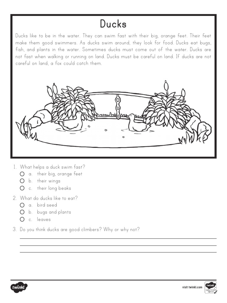 First Grade Ducks Reading Passage Comprehension Activity Eco Black and ...