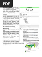 Sindhi Alphabet and Script Guide | PDF | Graphemes | Languages