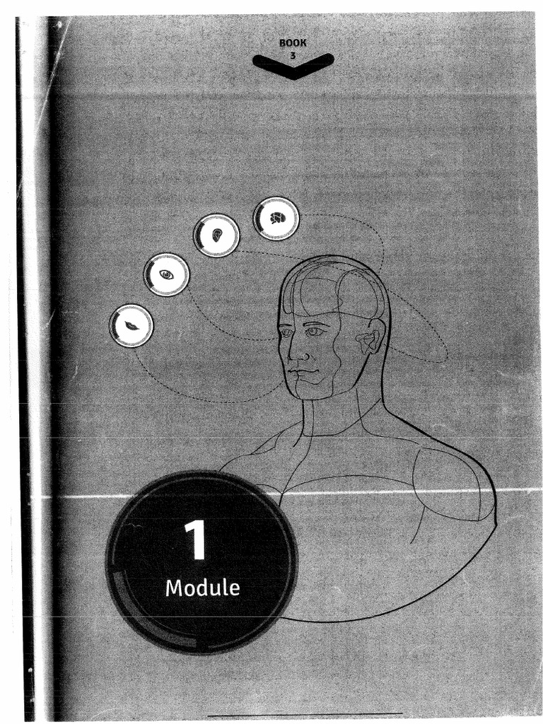 English Designed With Direct Method - Book 3 (PL) Unit 1a | PDF