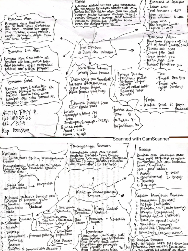 Mindmap Keperawatan Bencana | PDF Mindmap Keperawatan Bencana | PDF