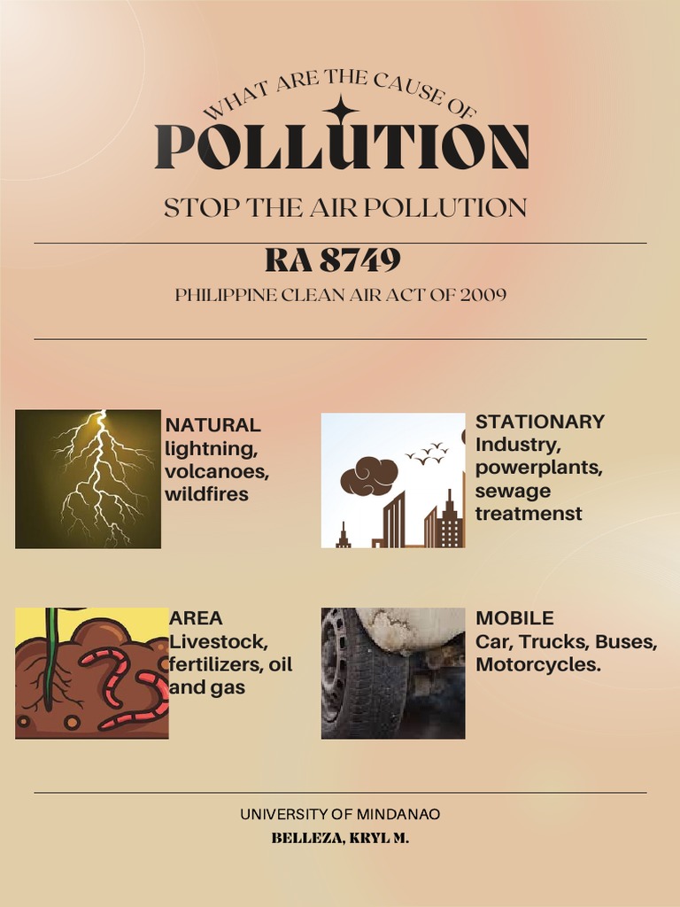 Pollution NSTP 1 Poster | PDF