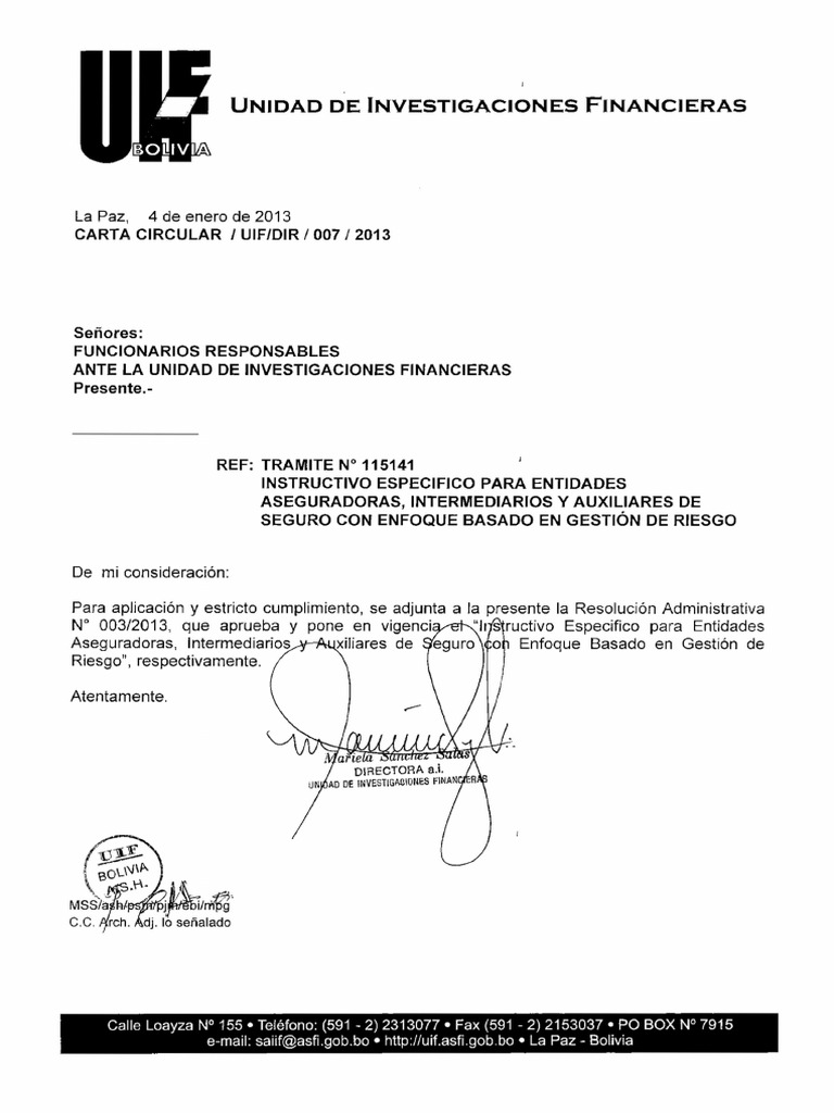 Instructivo Específico de Seguros Intermediarios y Auxiliares Con EBR | PDF | Seguro | Reaseguro