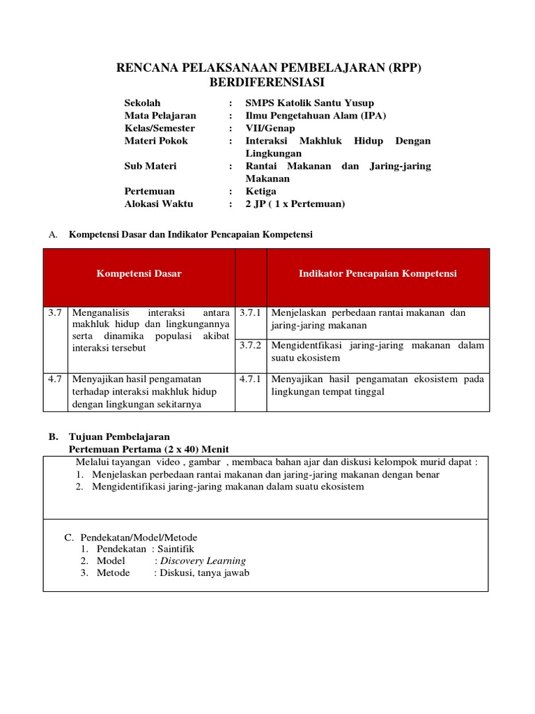 RPP Berdiferensiasi 732595-1673341980 | PDF | Karier & Perkembangan ...