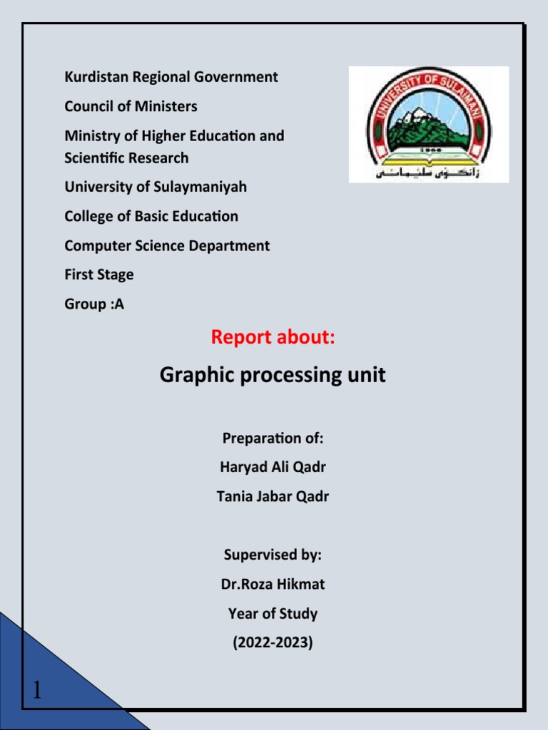 Raport Org | PDF | Graphics Processing Unit | Computer Graphics