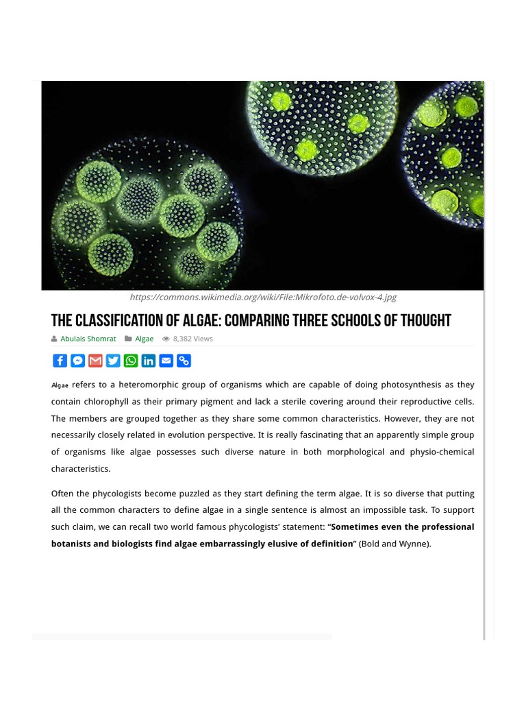 The Classification of Algae - Comparing Three Schools of Thought ...