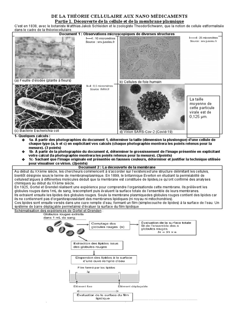 Evaluation Cellule | PDF | Cellule (Biologie) | Membrane cellulaire