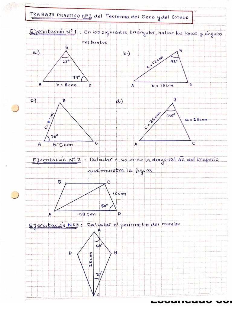 (T.p.n°2) Teorema Del Seno | PDF