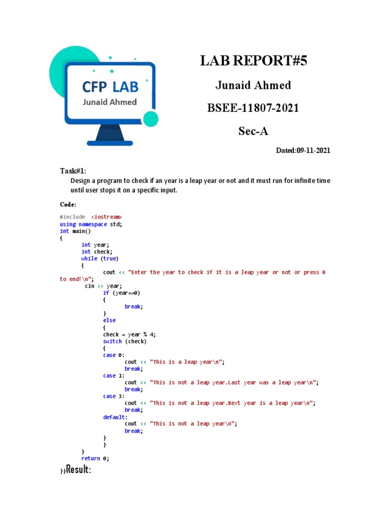 Computer Fundamentals Lab Report#5 | PDF | Computer Programming | Software Engineering
