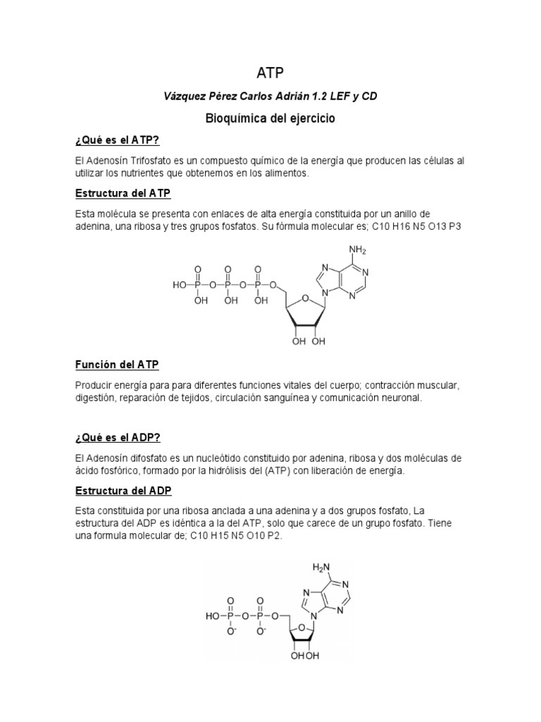 Bioquímica Del Ejercicio: ¿Qué Es El ATP? | PDF
