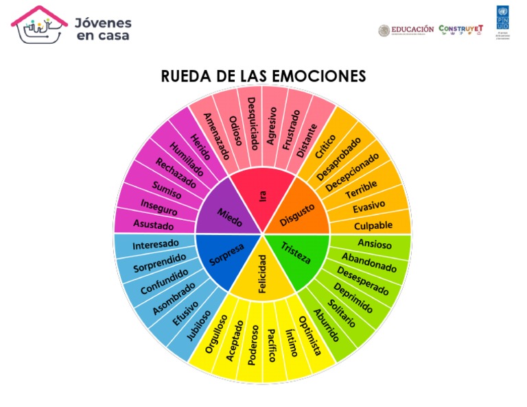 Circulo de Emociones | PDF