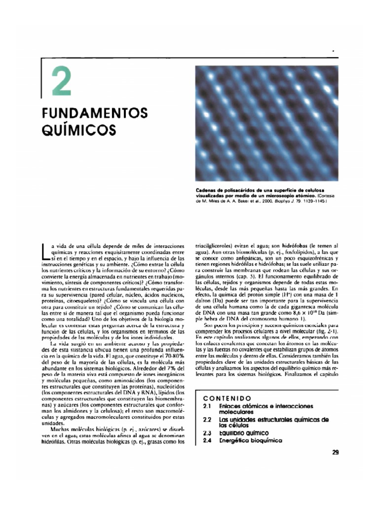 Extracto Libro Lodish. Macromoléculas Biológicas | PDF | Polaridad ...